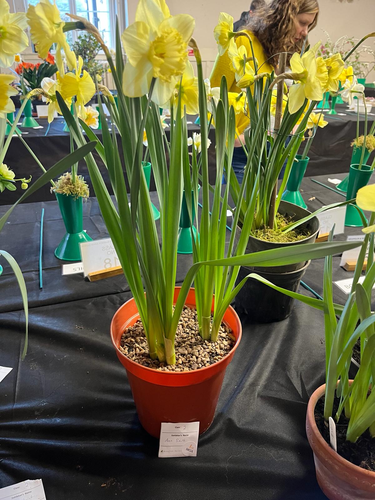 Gallery – Meopham Gardeners