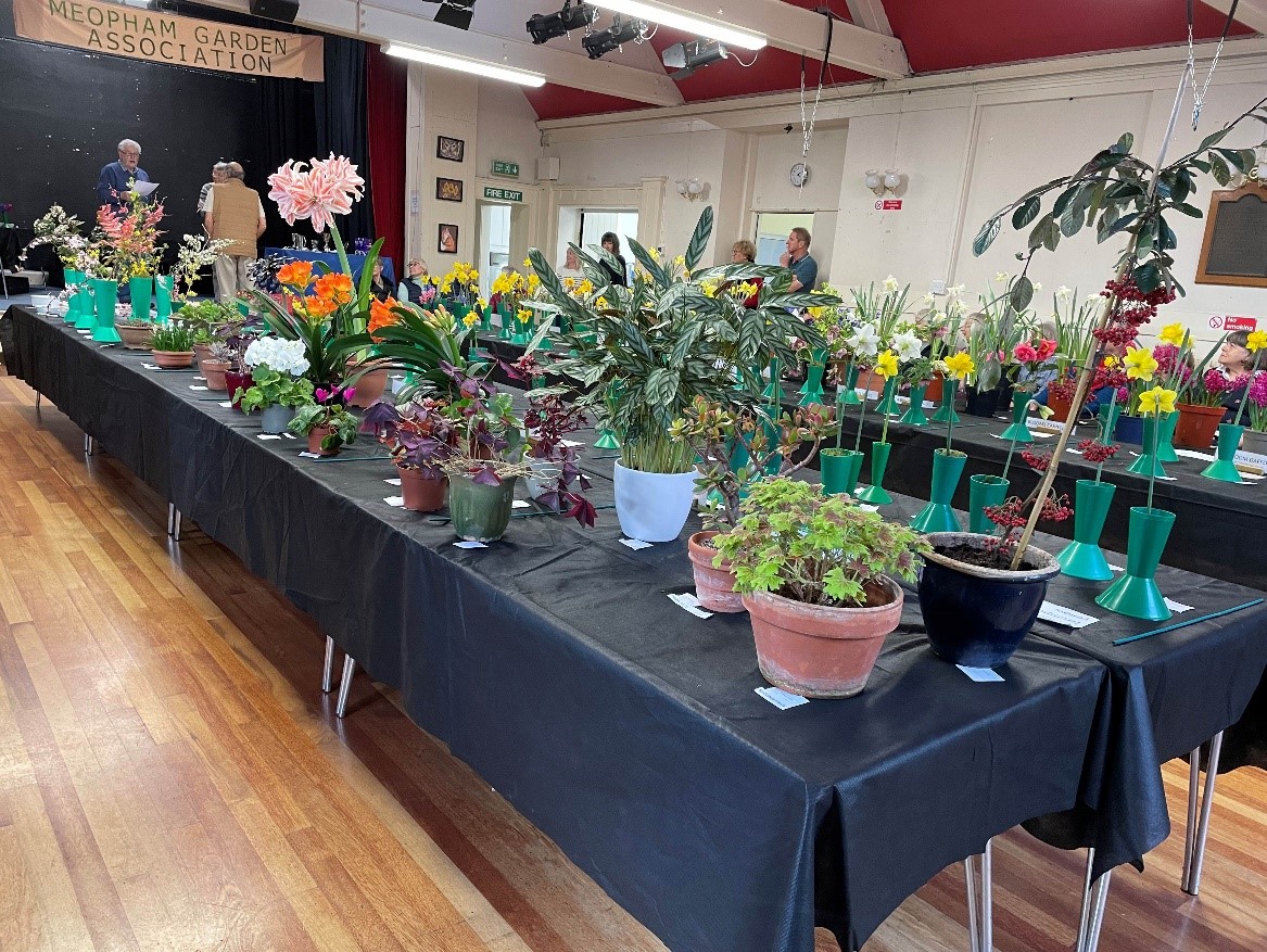 Gallery – Meopham Gardeners